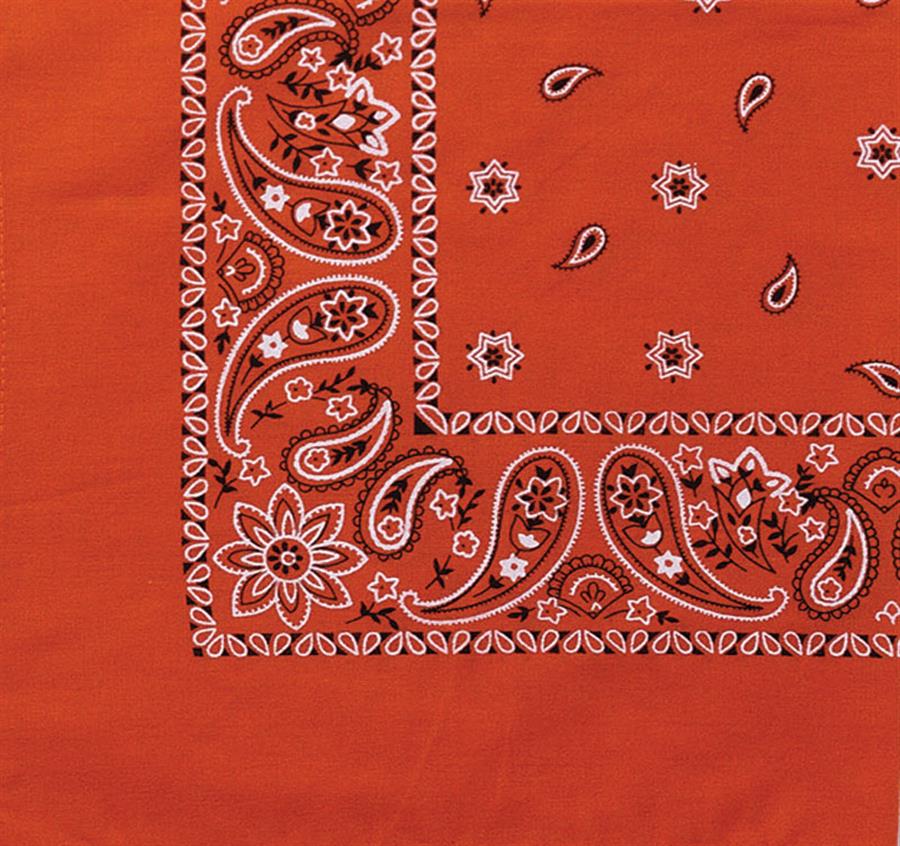 Paisley Polyester Bandana (Imported)